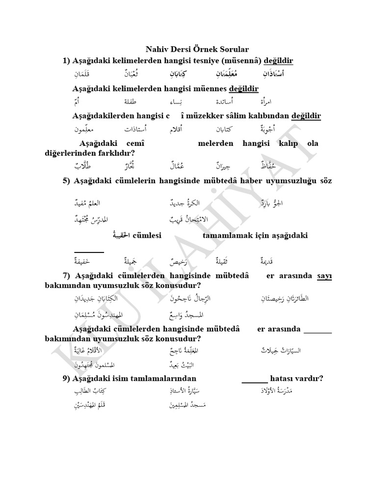 Nahiv Ornek Sorular | PDF
