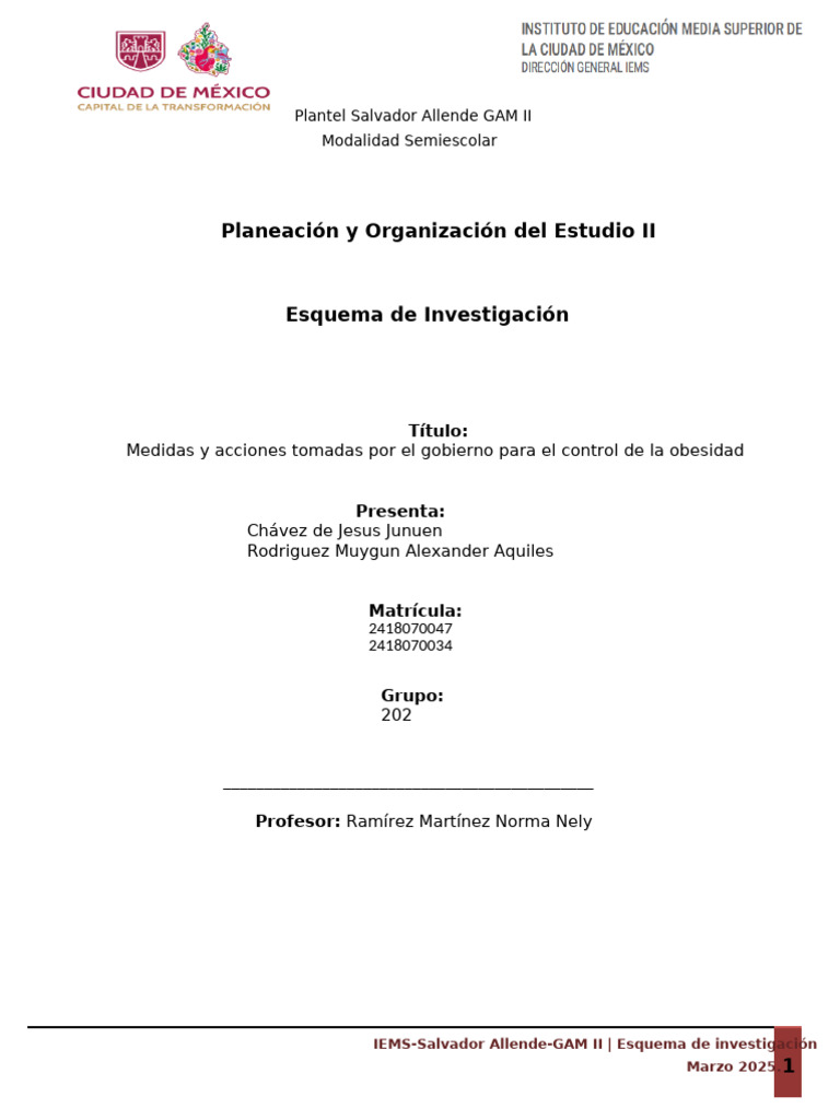 2025 - Esquema de Inv - POE II | PDF | Obesidad