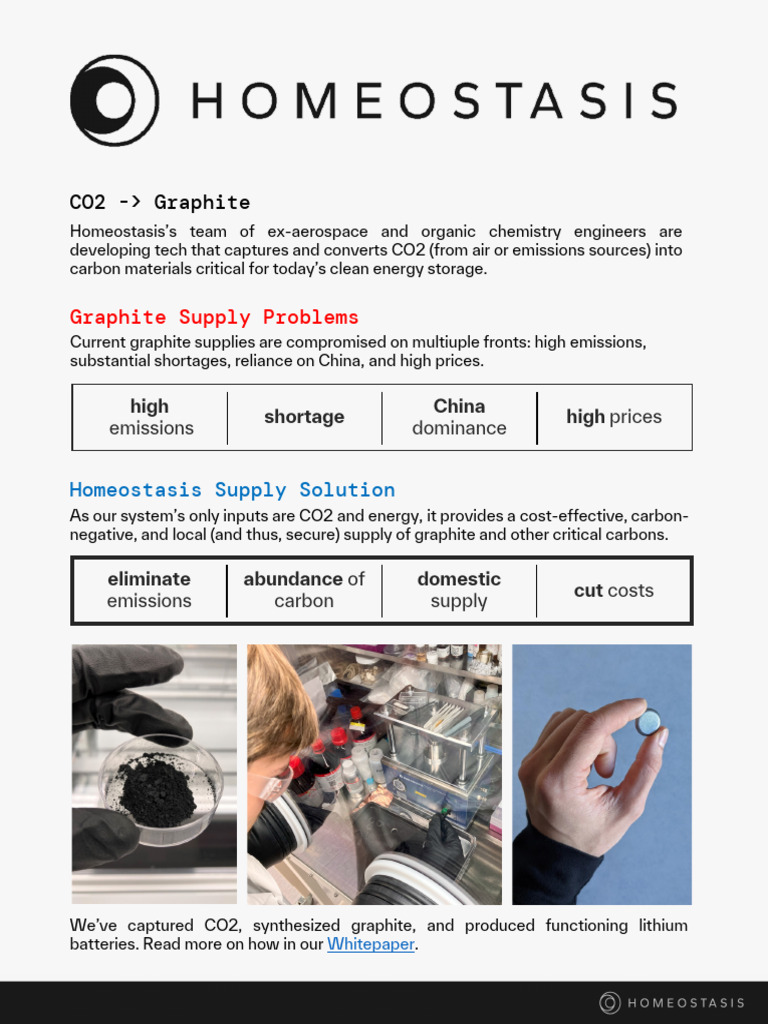 Homeostasis OnePager 202401 | PDF