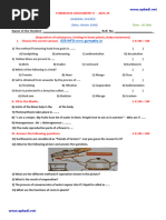 Pigeon Genetics: Answer Key | PDF | Dominance (Genetics) | Genotype