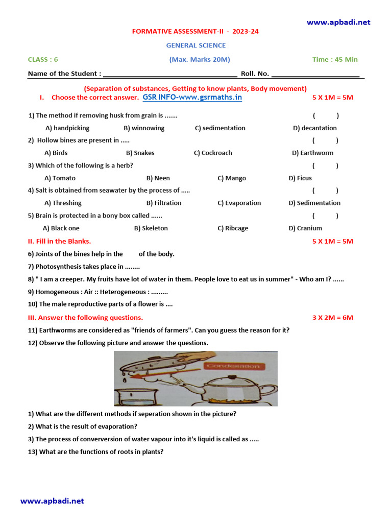 6th Class Science FA 2 SAMP 2 Model Paper 2023-24 GSR INFO-www - Gsrmaths.in | PDF | Biology ...