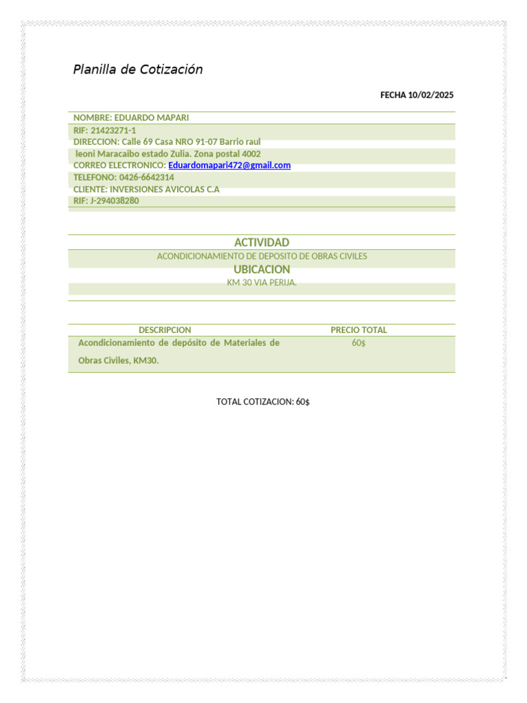 Presupuesto - Guía Eduardo Mapari | PDF