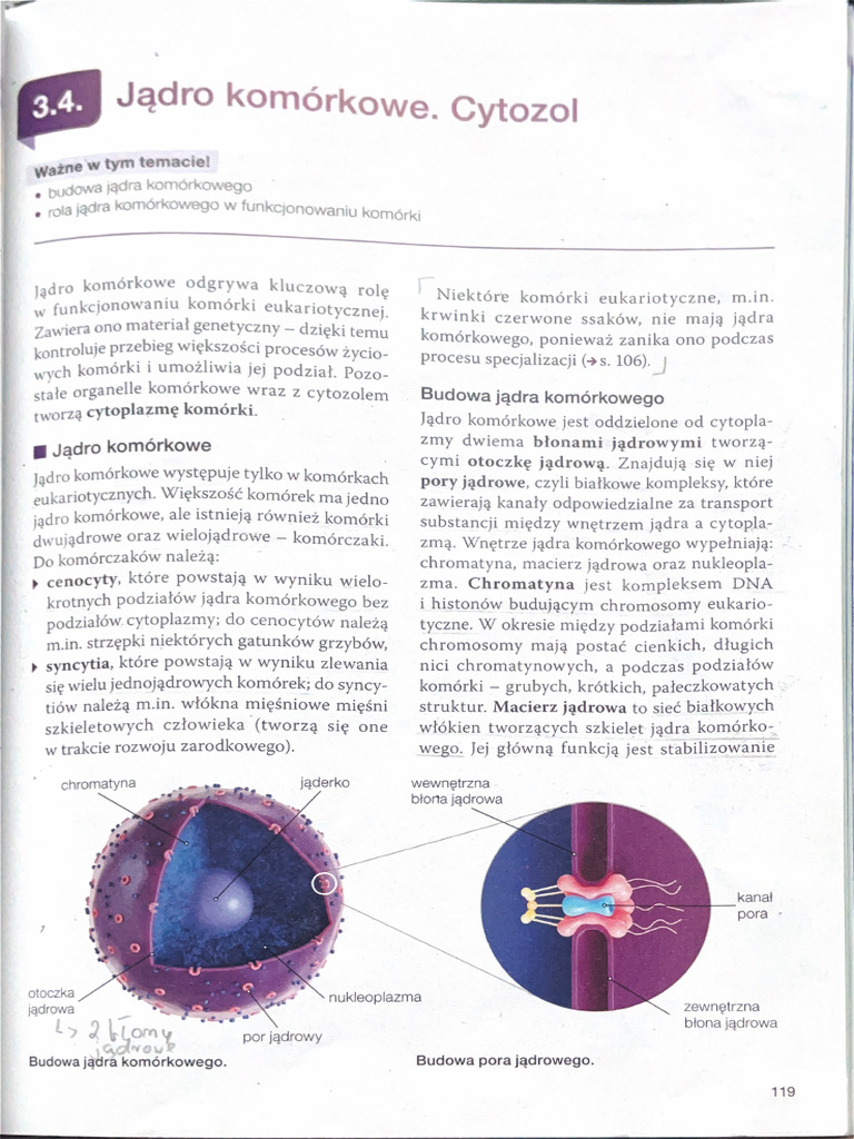 Cytozol Biologia Klasa1 Rozszerzenie | PDF