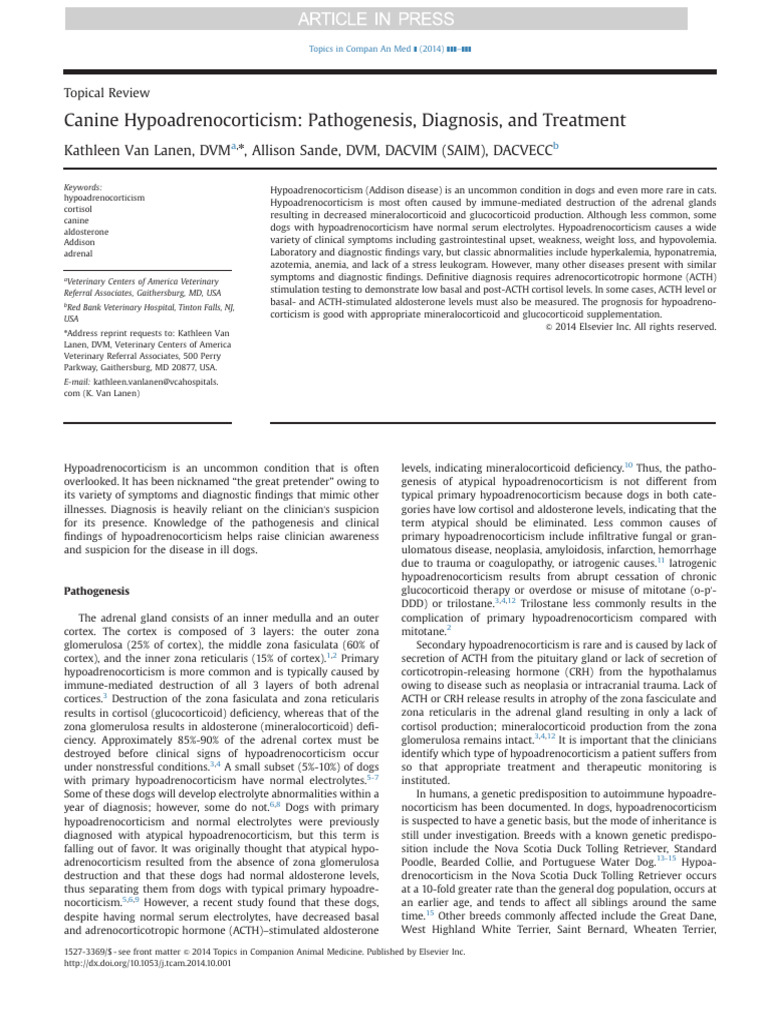 Canine Hypoadrenocorticism, Pathogenesis, Diagnosis, and Treatment | PDF | Adrenocorticotropic ...