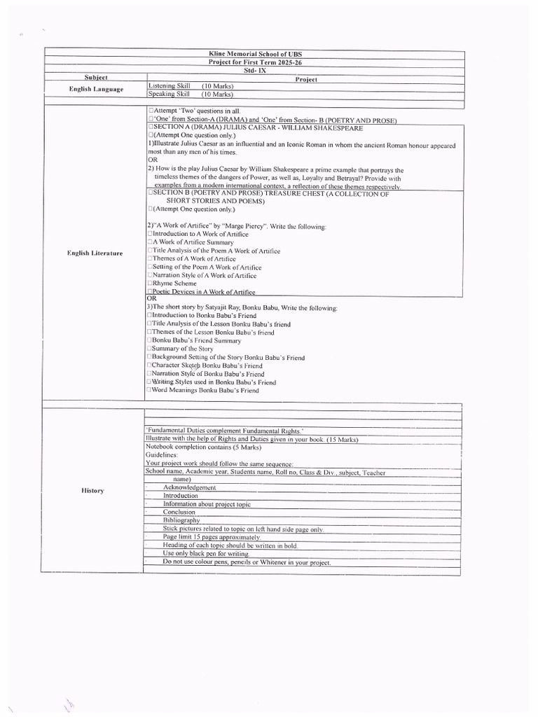 STD IX First Term Project 2025-26 | PDF