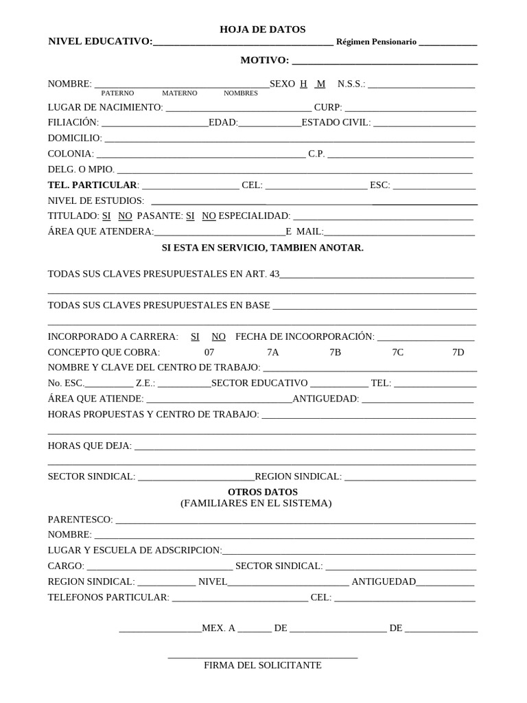 Hoja de Datos Nuevo Formato | PDF