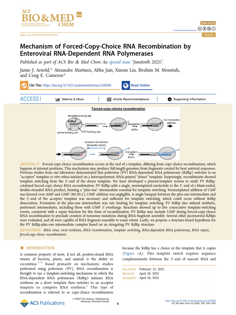 Arnold Et Al 2025 Mechanism of Forced Copy Choice Rna Recombination by ...