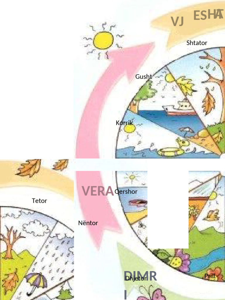 Stinet e Vitit | PDF