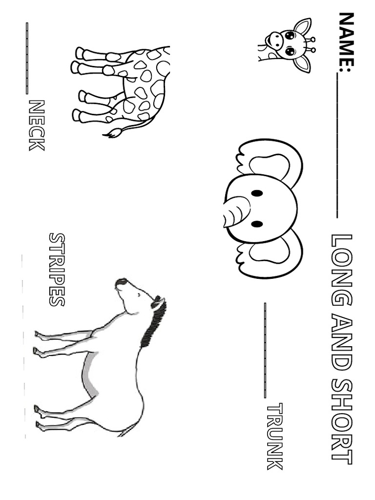 Long and Short | PDF