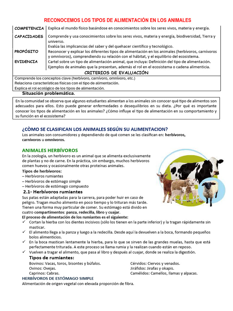 Reconocemos Los Tipos de Alimentación en Los Animales 2025 | PDF ...