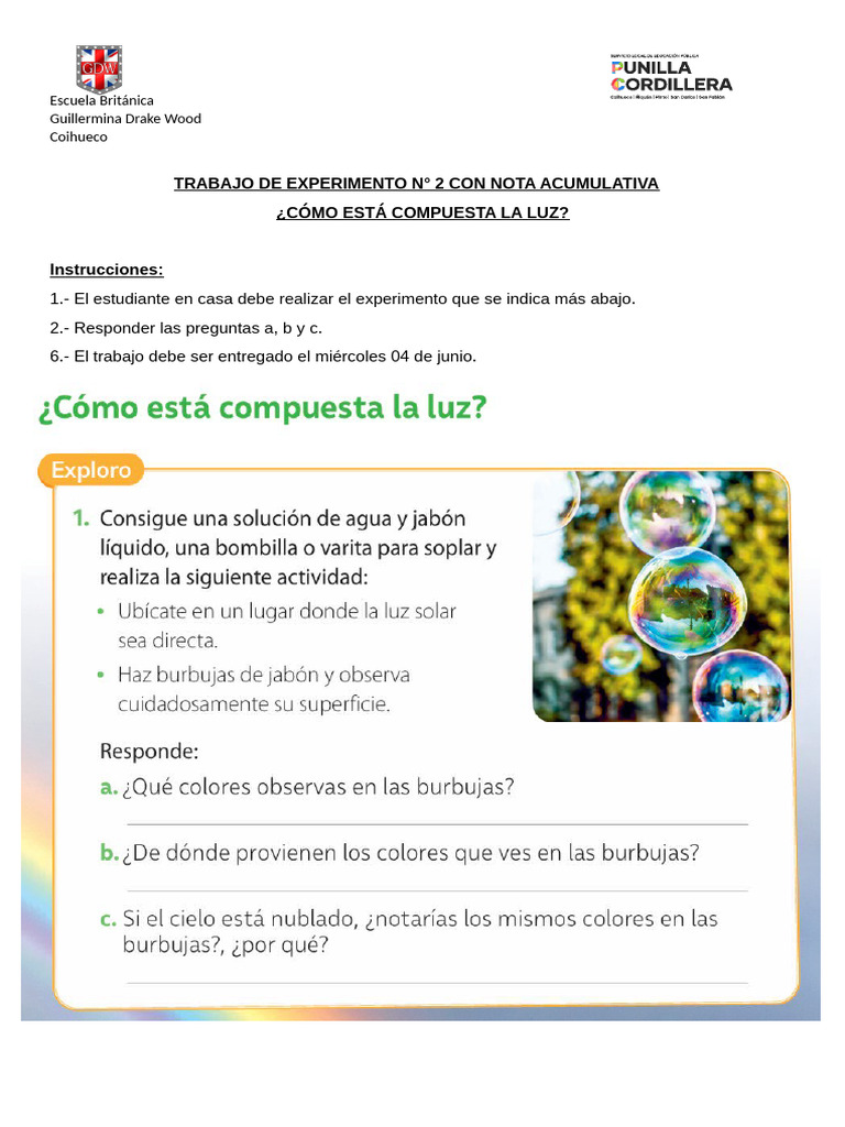 Experimento N°2 Ciencias | PDF