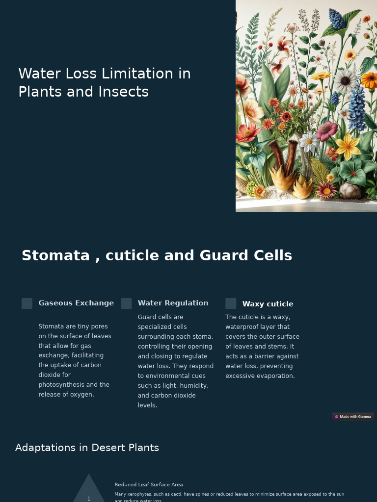 Water Loss Limitation in Plants and Insects | PDF