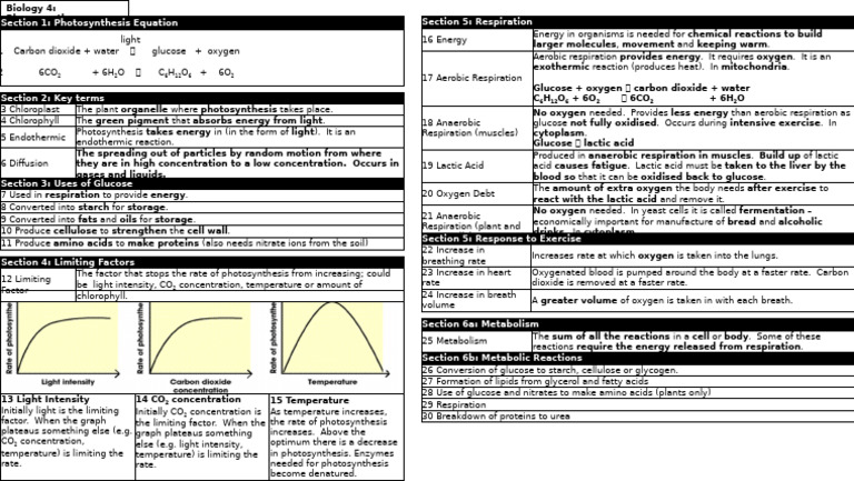 B4 Knowledge Organiser | PDF | Cellular Respiration | Photosynthesis
