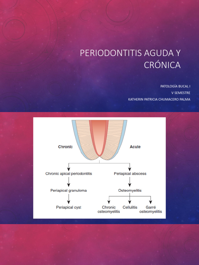 Periodontitis Apical Crónica y Tratamientos | PDF | Hueso | Epitelio