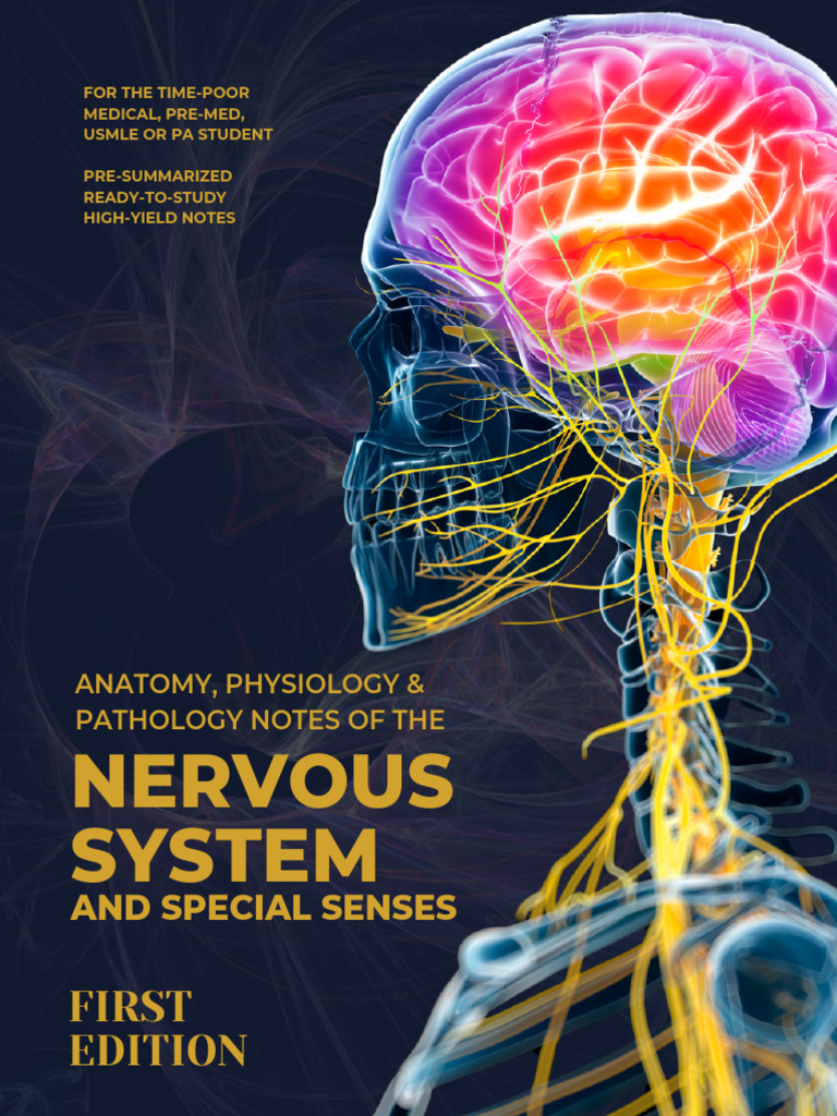 Nervous System and Special Senses | PDF | Motor Neuron | Nervous System