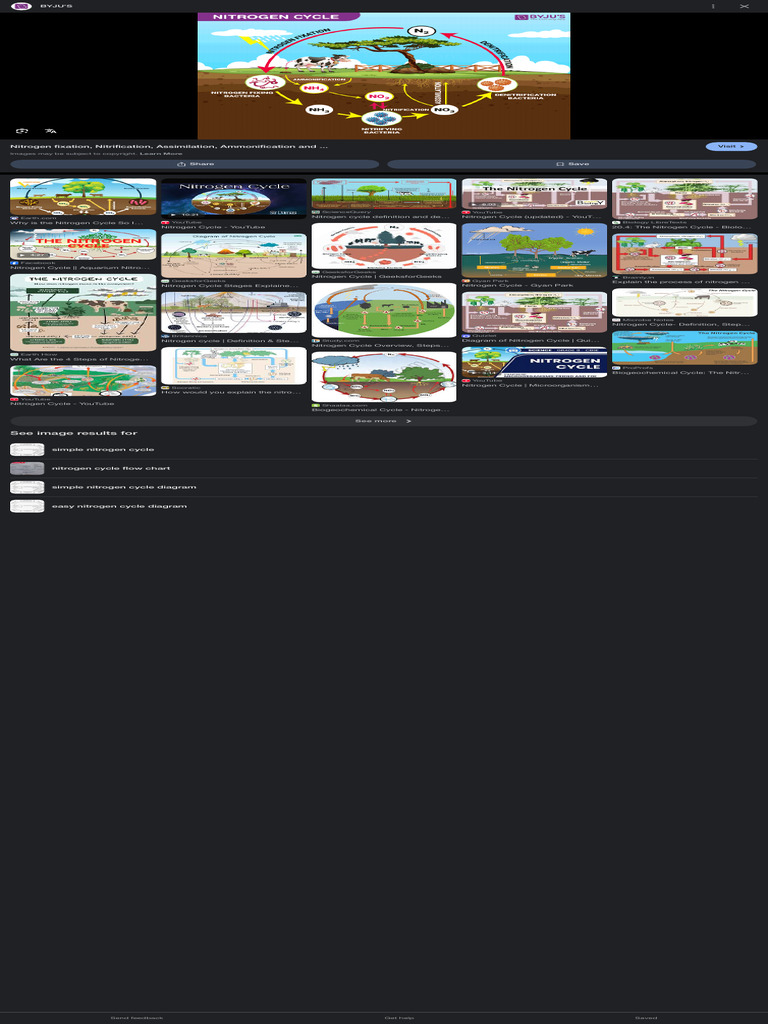 Nitrogen Cycle - Google Search | PDF | Biogeochemistry | Earth Sciences