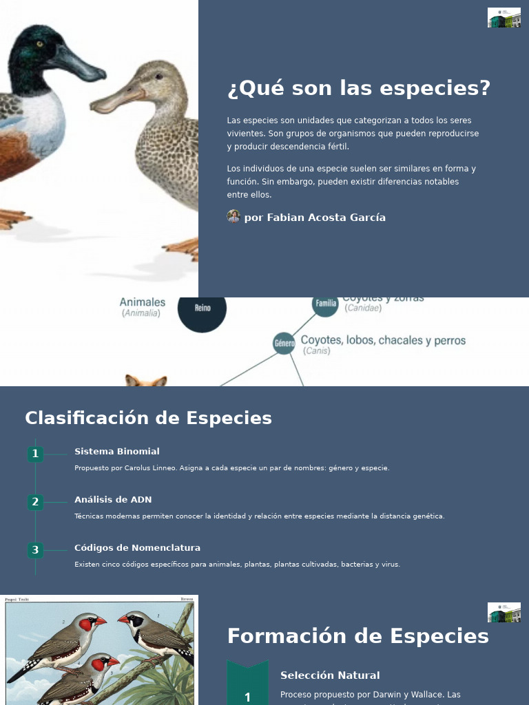 Que Son Las Especies | PDF