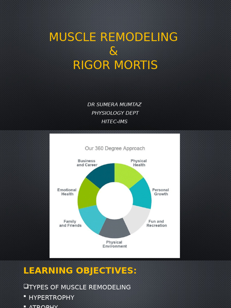 Muscle Remodeling and Rigor Mortis Explained | PDF | Skeletal Muscle ...