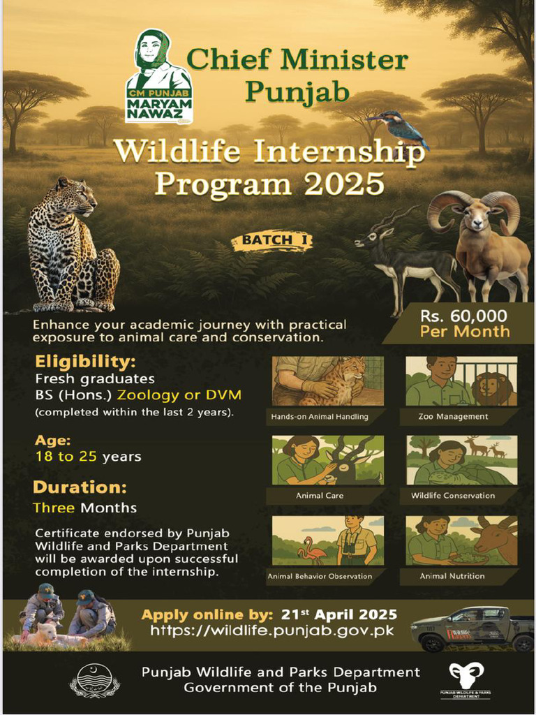 CM WildLife Internship Program 2025 | PDF