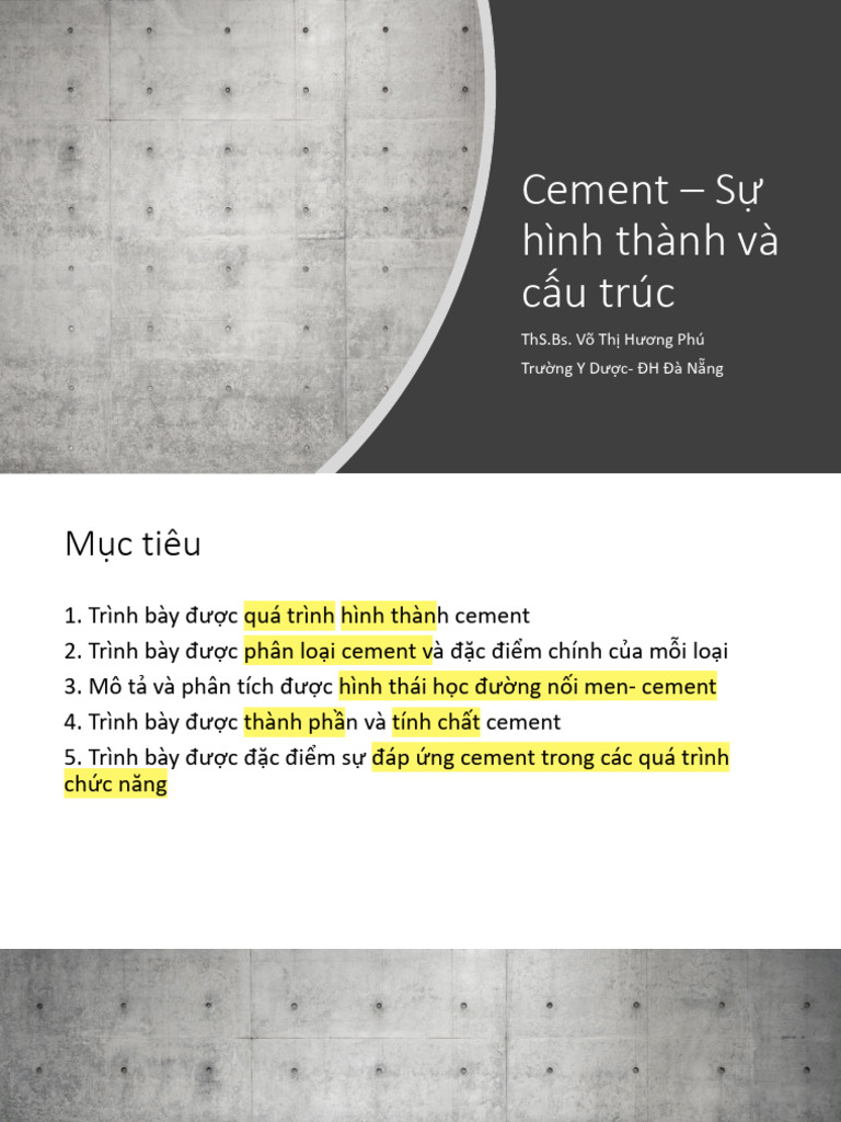Cement Chân Răng | PDF