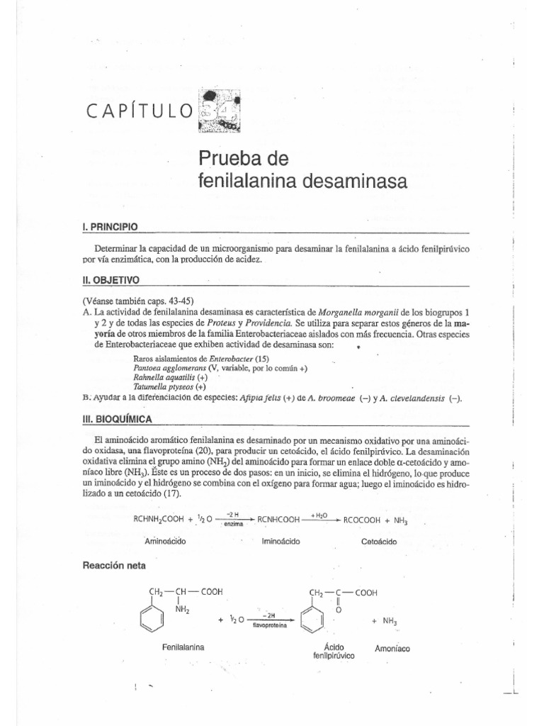 Ppa | PDF