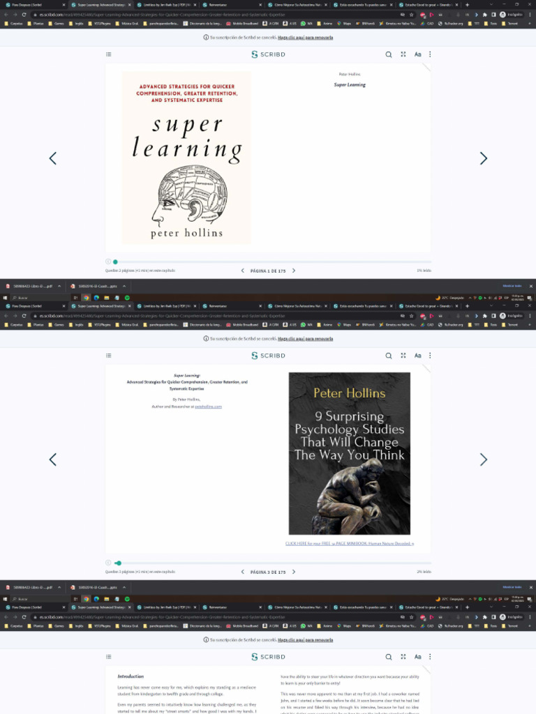 Super Learning - Peter Hollins | PDF