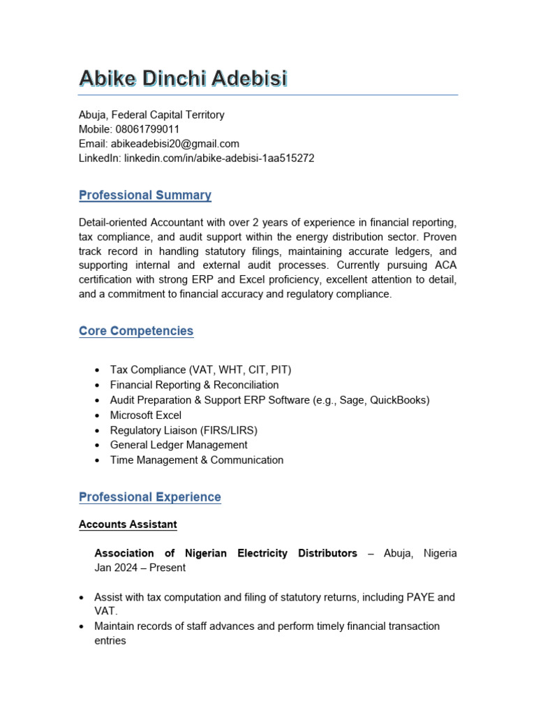 Detail-Oriented Accountant Profile | PDF | Audit | Microsoft Excel