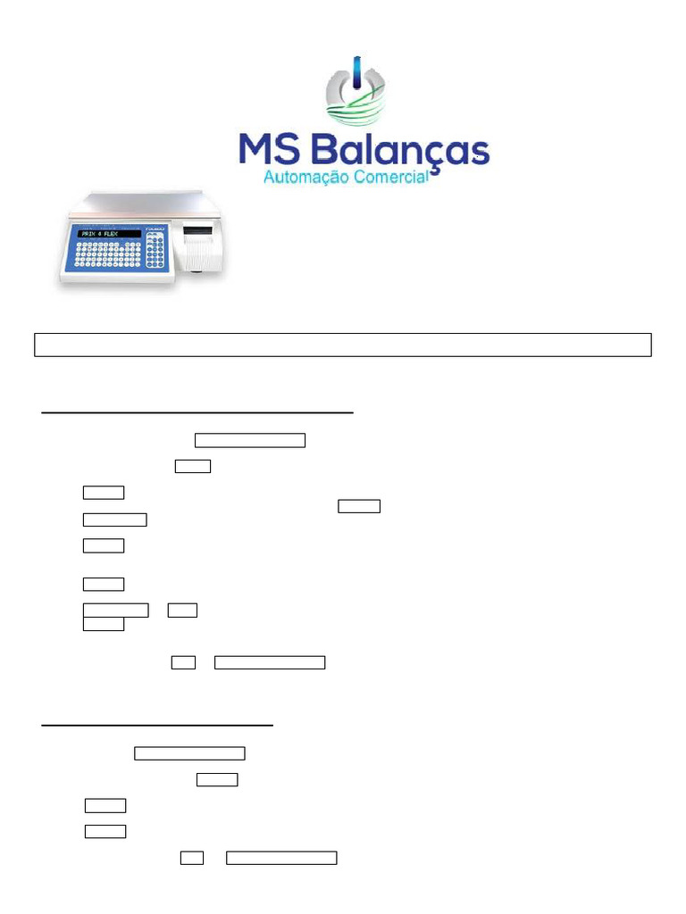 Manual Resumido Toledo Prix 4 | PDF
