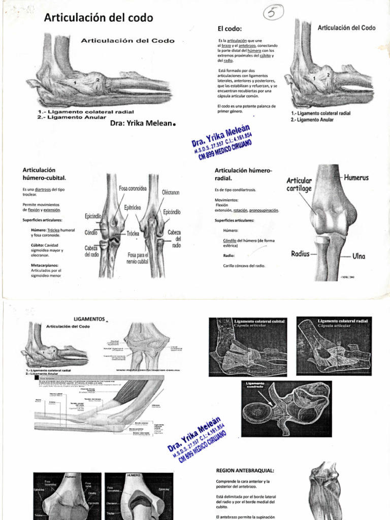 Art Del Codo Guía | PDF