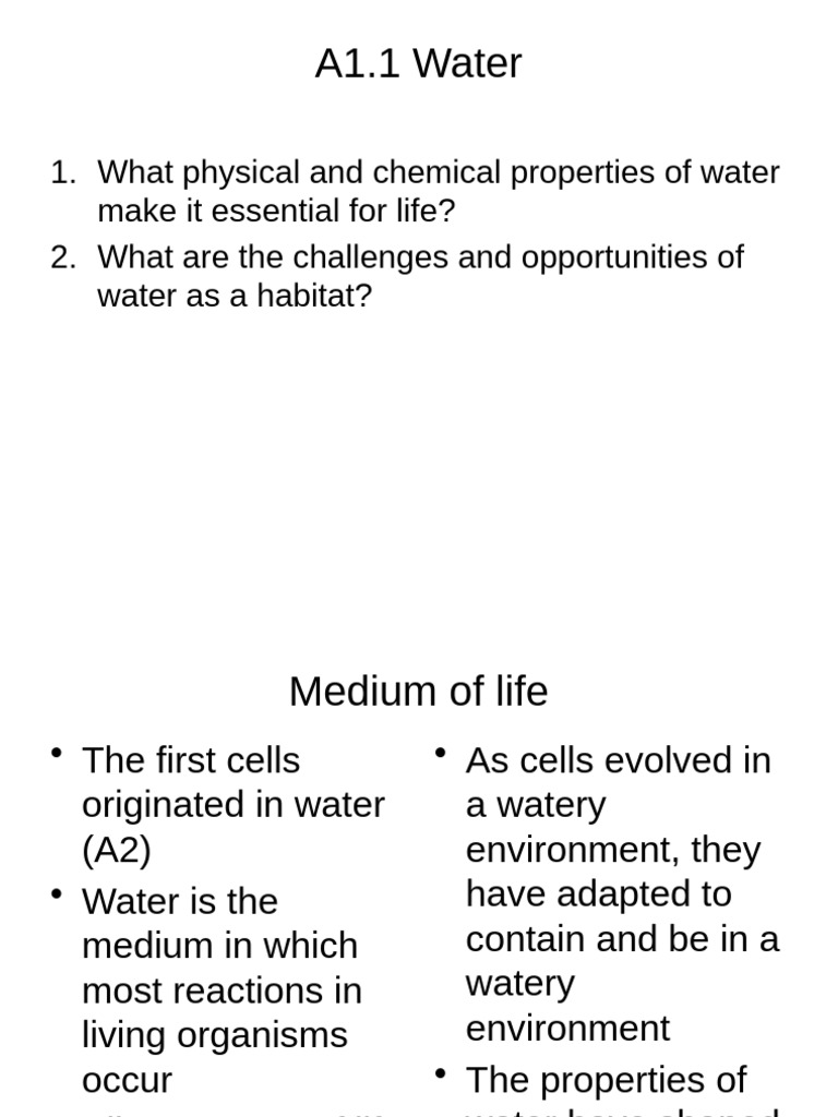 A1.1 Water Firefly | PDF | Water | Chemical Bond