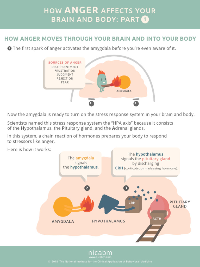 NICABM InfoG Anger Part1 Color | PDF | Adrenocorticotropic Hormone ...