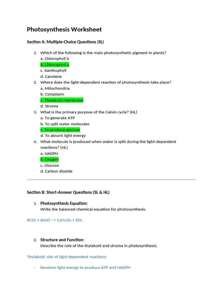 Photosynthesis Worksheet | PDF | Photosynthesis | Chloroplast