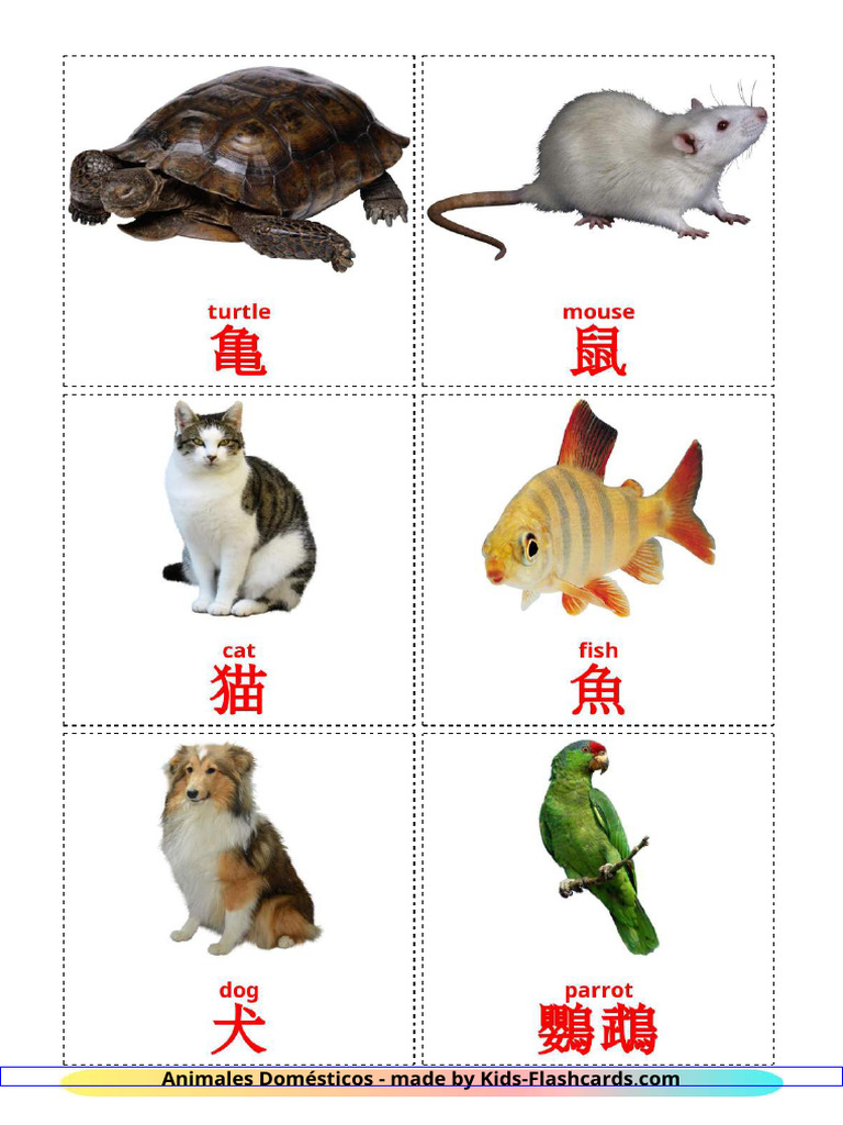 Japanese Word Cards (Pets) | PDF