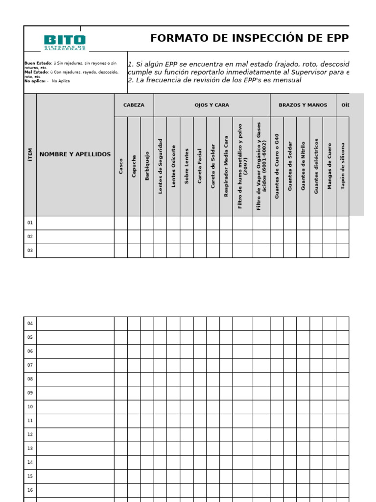 Formato de Inspeccion de EPPs | PDF