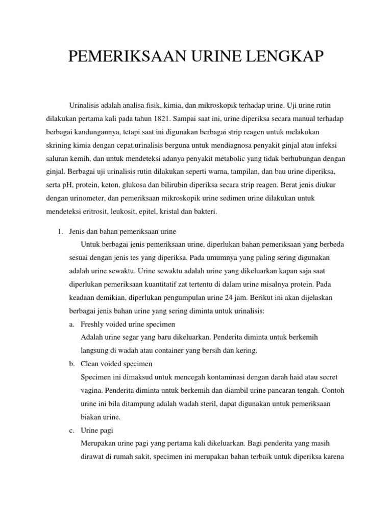 Pemeriksaan Urine Lengkap | PDF