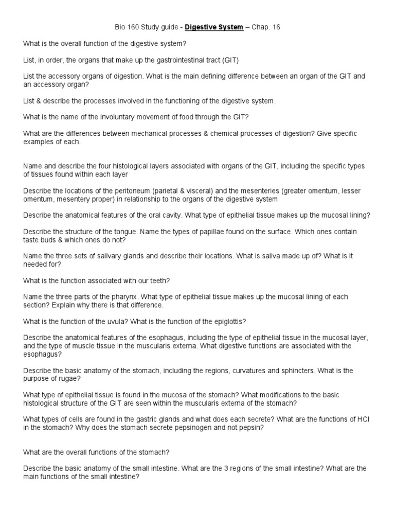 A&P Study Guide - Digestive System | PDF | Stomach | Gastrointestinal Tract