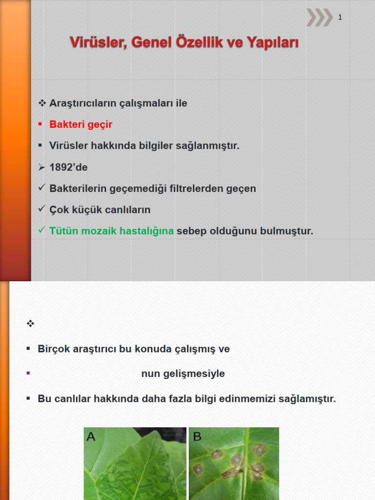 5 - Ders - Notu 2 | PDF