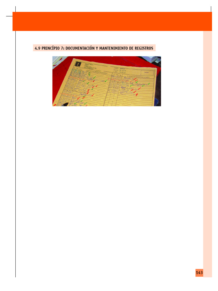 Material de Apoyo - Documentación y Tipos de Registros | PDF | Análisis de Riesgo y Puntos ...