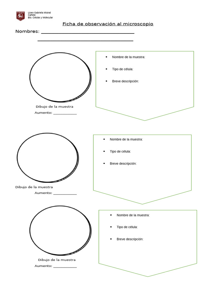 Ficha de Observación Al Microscopio Biología | PDF