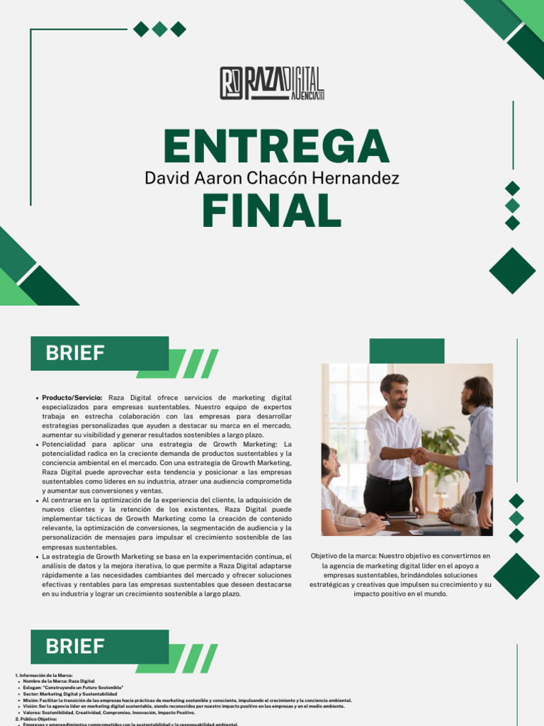 Entrega Final Grow - David Chacon | PDF | Marketing | Publicidad digital