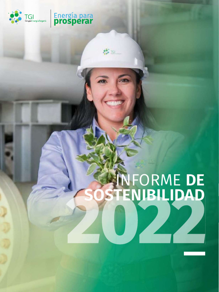 Informe Sostenibilidad 2022 TGI | PDF | Sustentabilidad | Economía baja en carbono