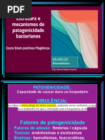 Fleimao | PDF | Medicina Clínica | Especialidades médicas