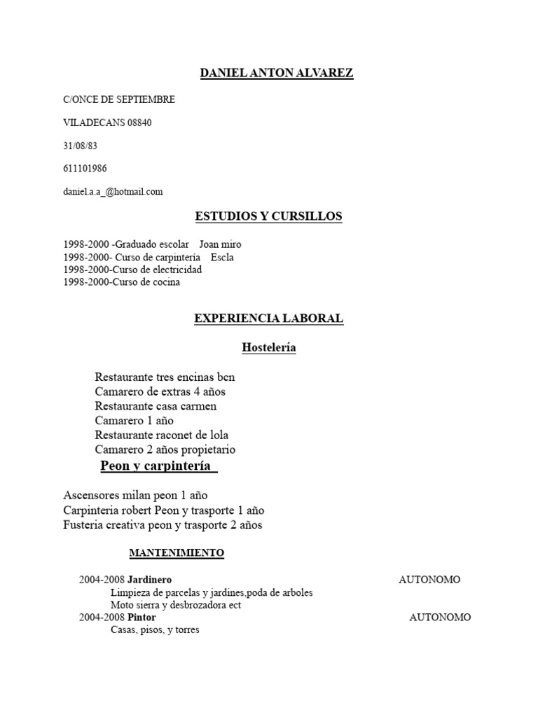 Currículum Dani-1 | PDF