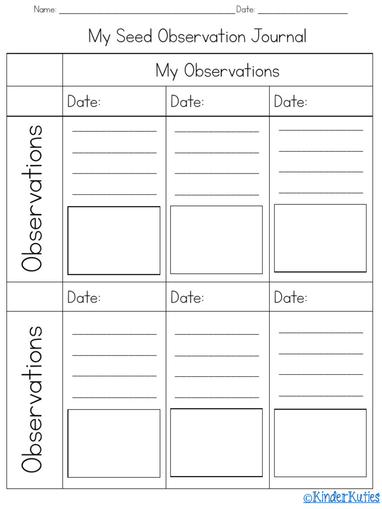 My Observations My Seed Observation Journal: Date: Date: Date | PDF
