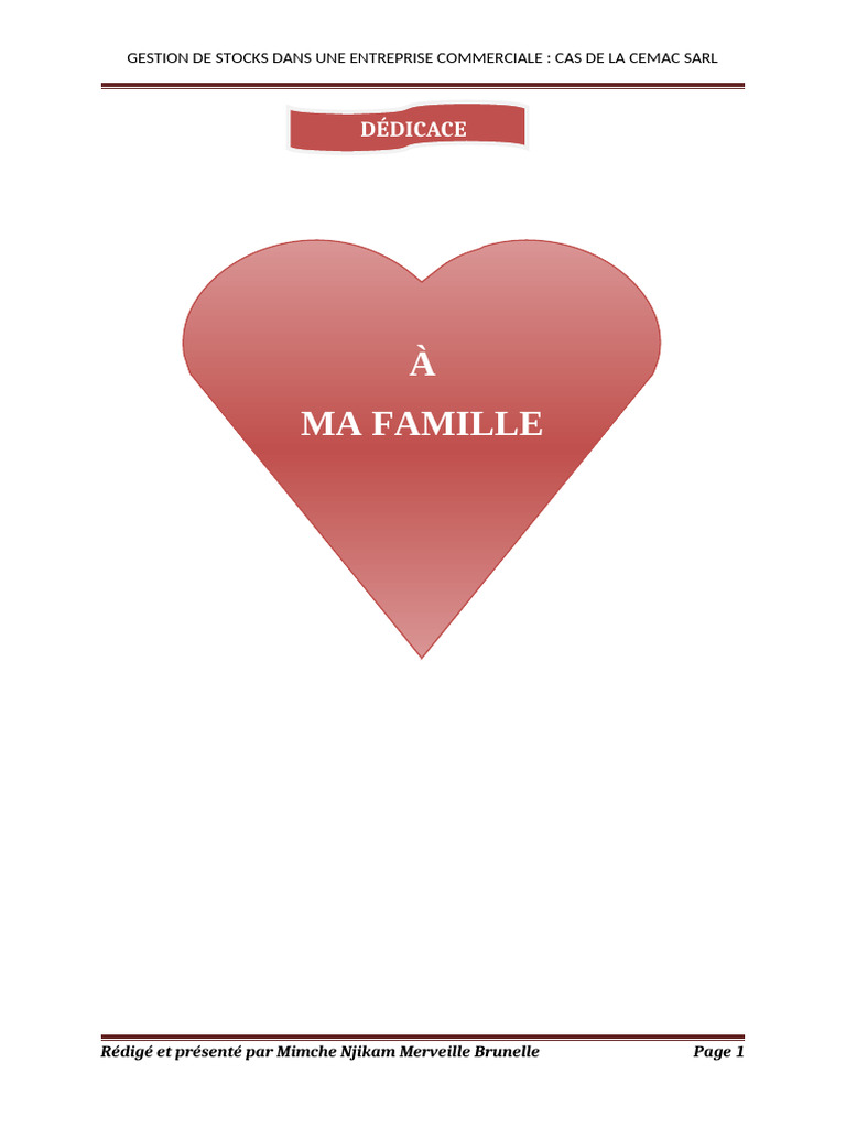 Rapport Final MNMB (1) - 093016 | PDF | Stock | Business