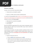 BC Iron Deficiency Guidelines Summary | PDF | Iron | Anemia