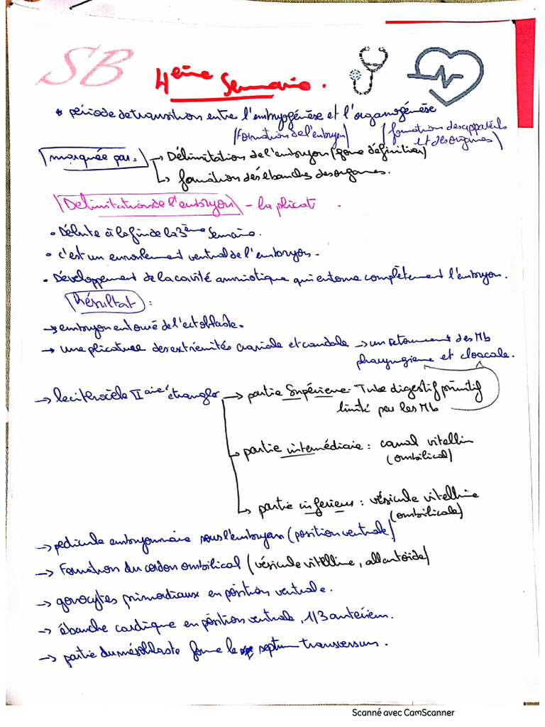 Semaine 4 Résumé (By Sabil BNCR) | PDF