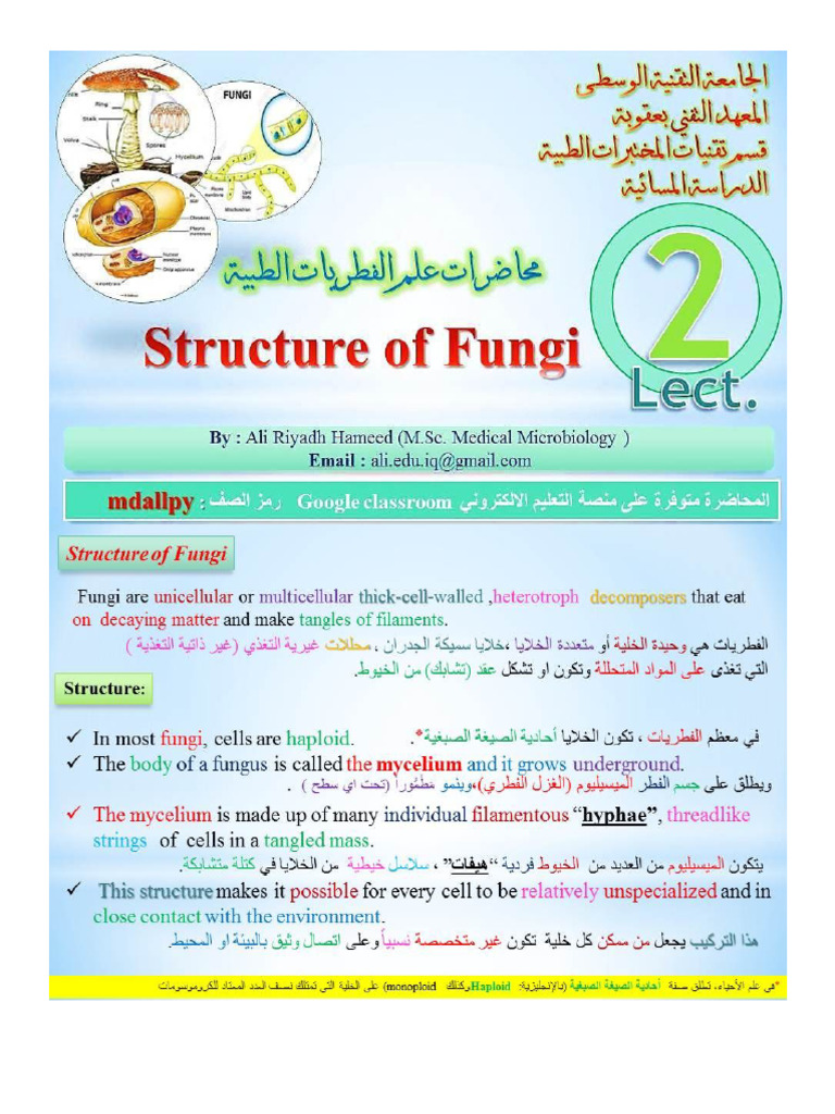 Structure of Fungi | PDF
