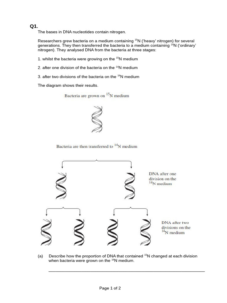 DNA Replication and Nitrogen Isotope Study | PDF
