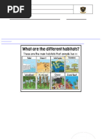 Animal Habitats Powerpoint | PDF | Predation | Habitat